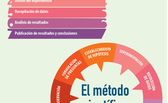 Fases O Etapas Del Metodo Cientifico Gufa Images And