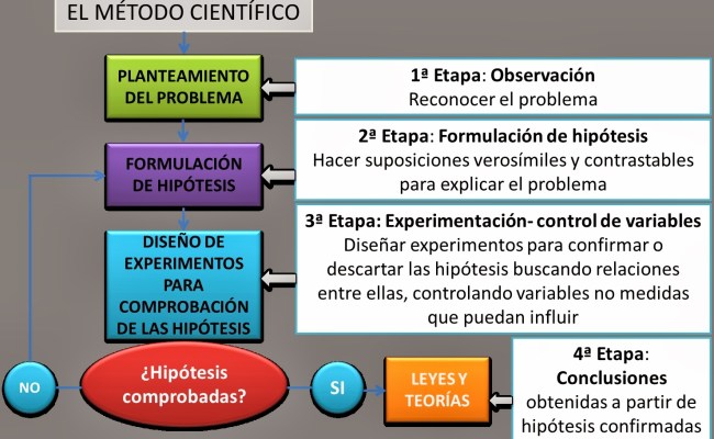 El Metodo Cientifico Etapas Explicacion Ejemplos Y Experimentos Dubai