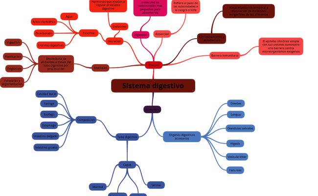 42 Diferencias Entre Mapa Mental Y Mapa Conceptual Png Nietma Otosection