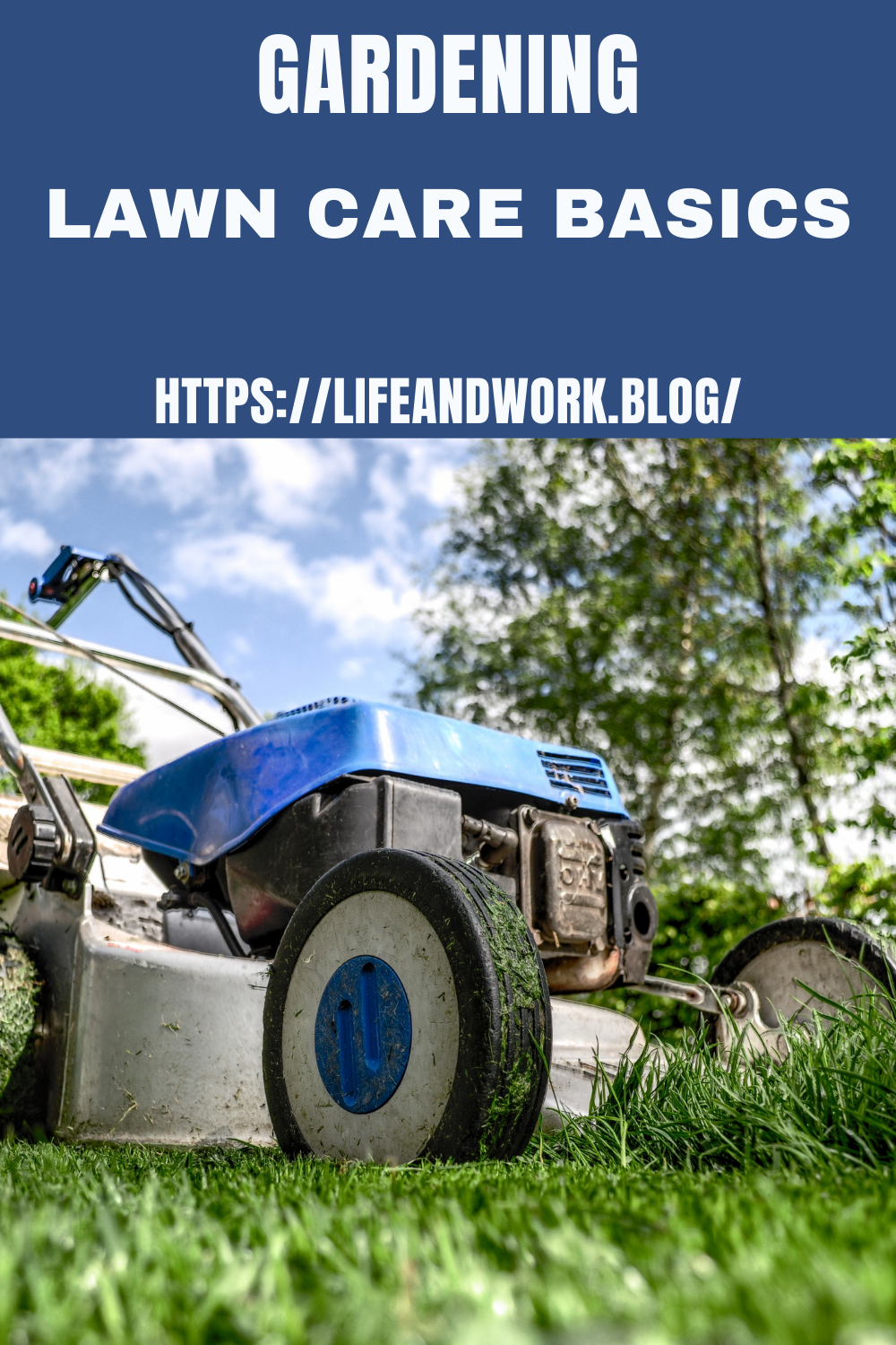 Lawn Care Basics