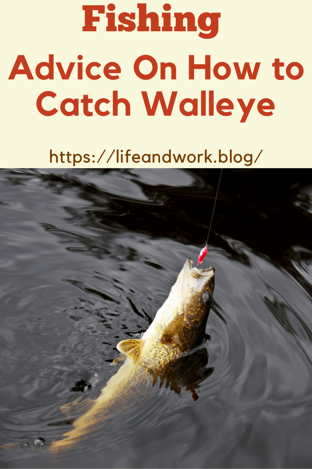 Advice On How To Catch Walleye