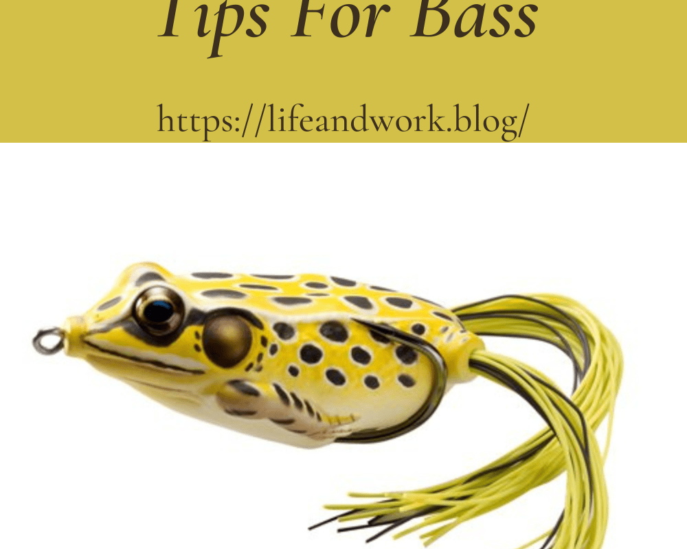 Topwater Frog Fishing Tips For Bass