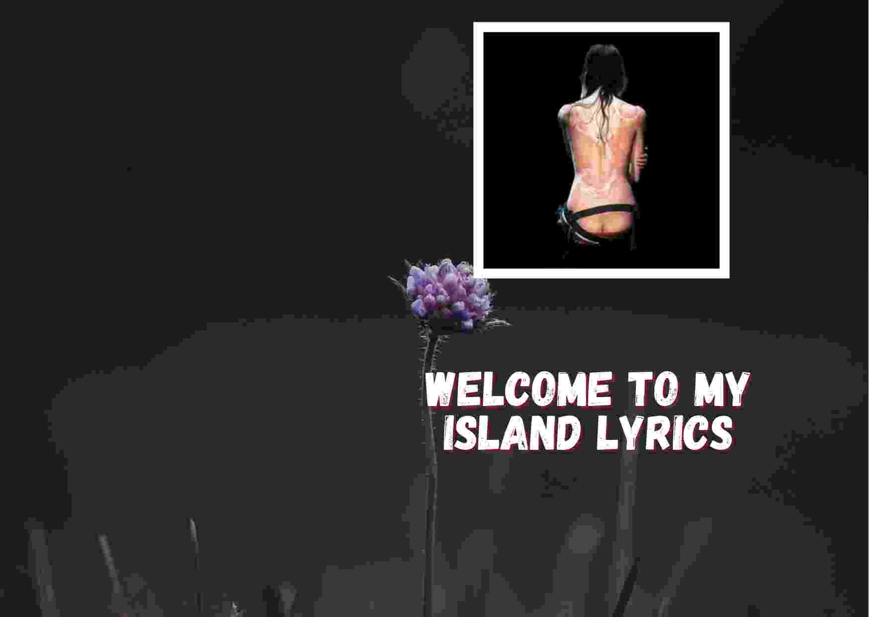 Welcome To My Island Lyrics By Caroline Polachek Lyricanotes