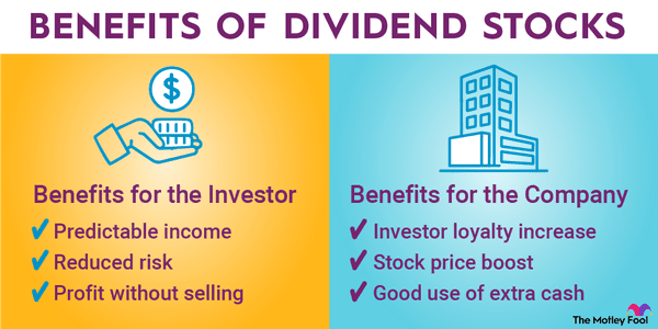 Dividend Investing How It Works And How To Get Started The Motley