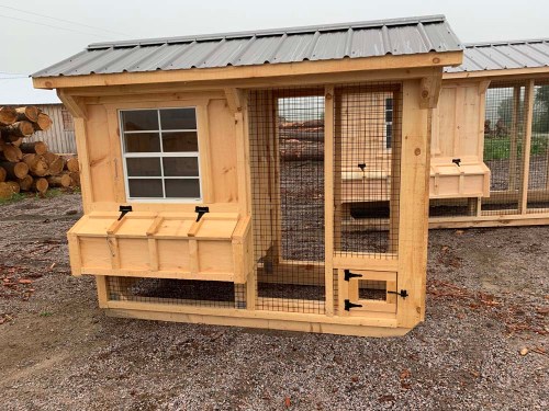 4x8 Coop Combo Mother Cluckin Chicken Coops