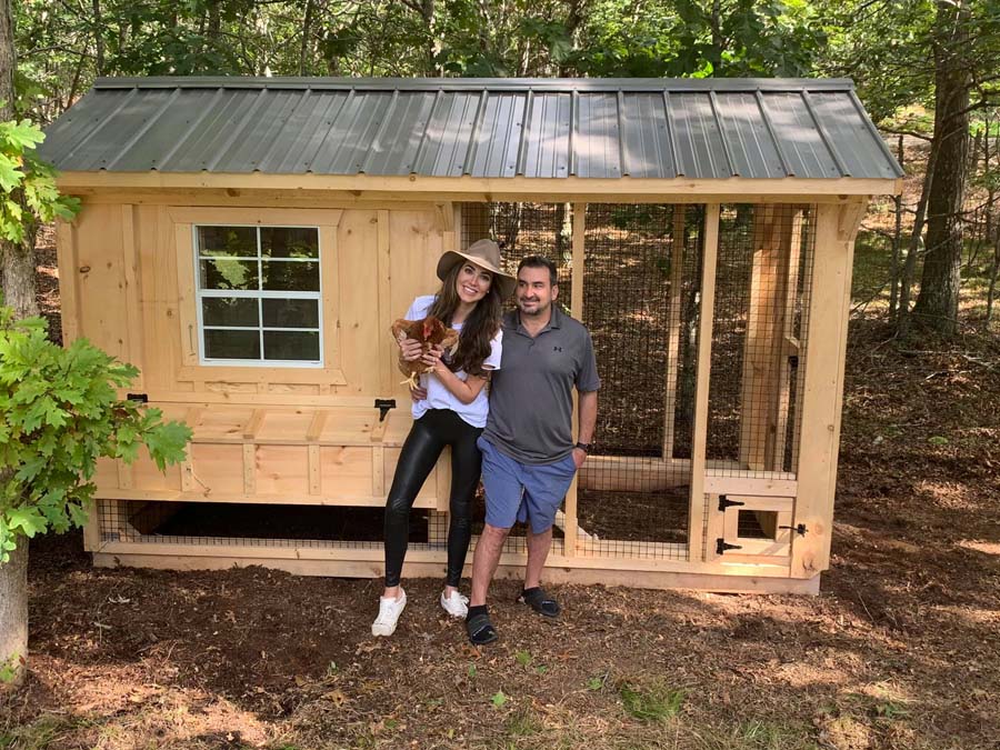 Meet The Flock Mother Cluckin Chicken Coops