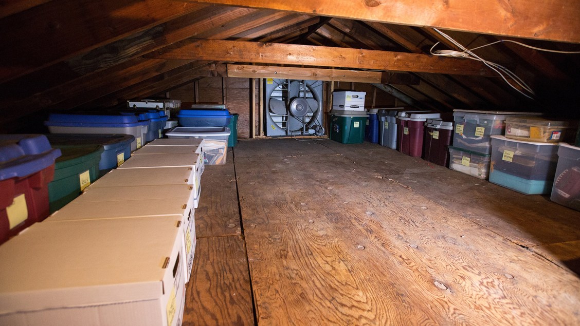 Attic Storage Systems