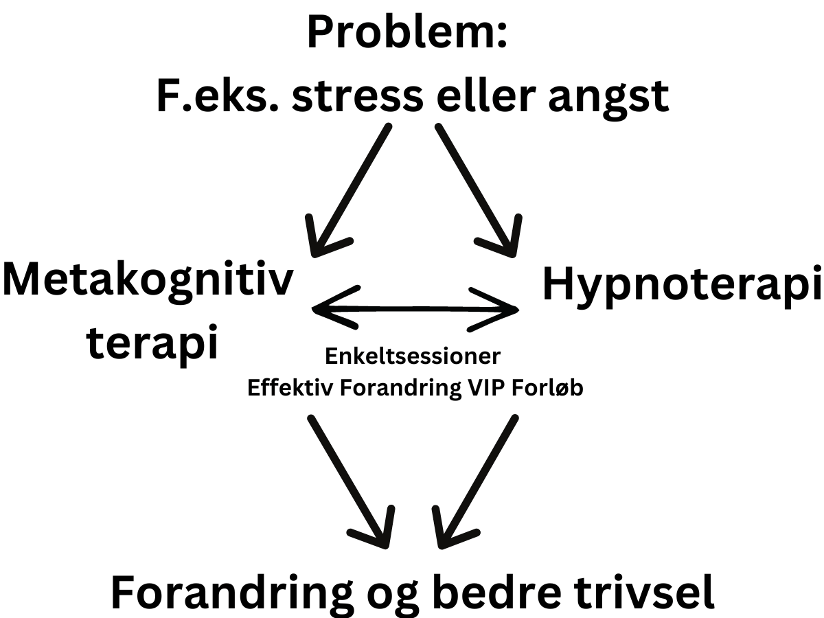 Behandling Af Stress Og Angst Magnus Maimonide