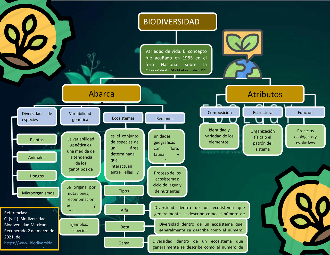 Mapa Conceptual De La Biodiversidad Mapas Conceptuales