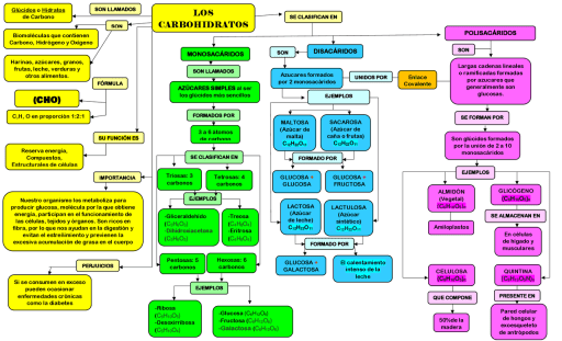 Mapa Conceptual De Los Carbohidratos Mapas Conceptuales