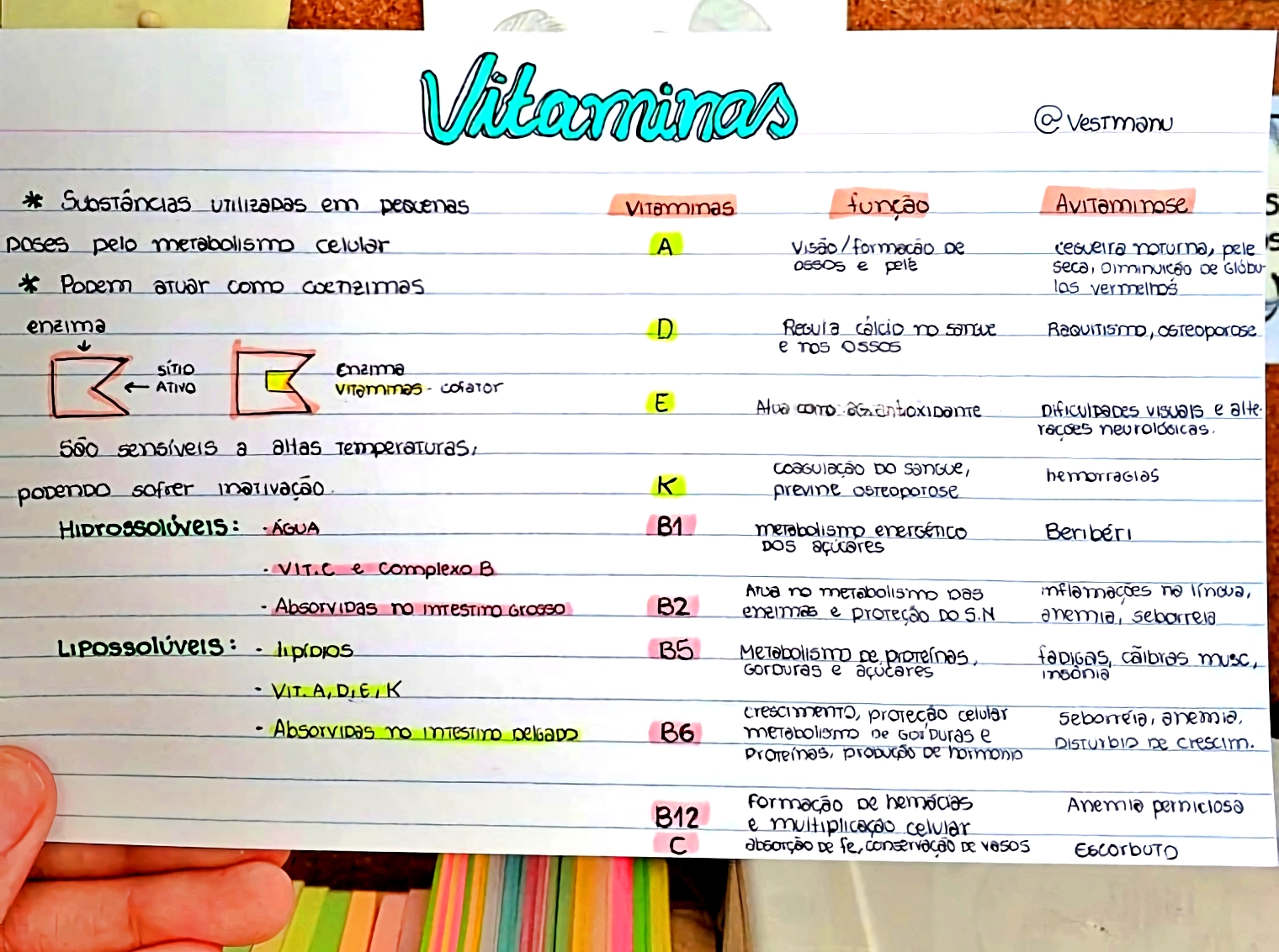 Mapa Mental Sobre Vitaminas Maps4study