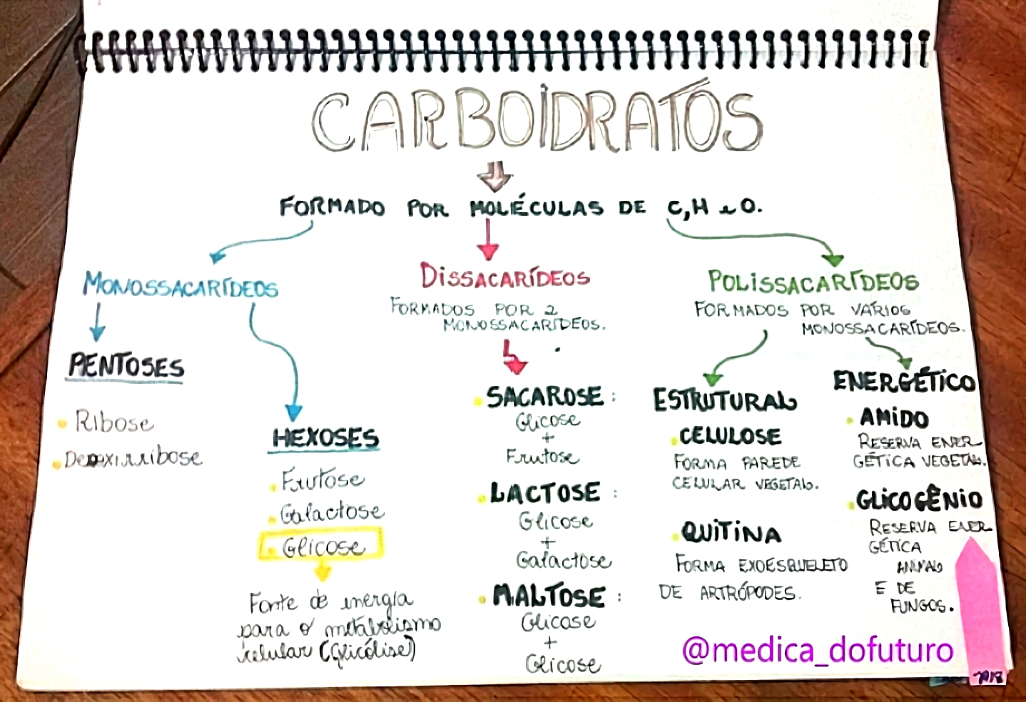 Mapa Mental Sobre Carboidratos Maps4study