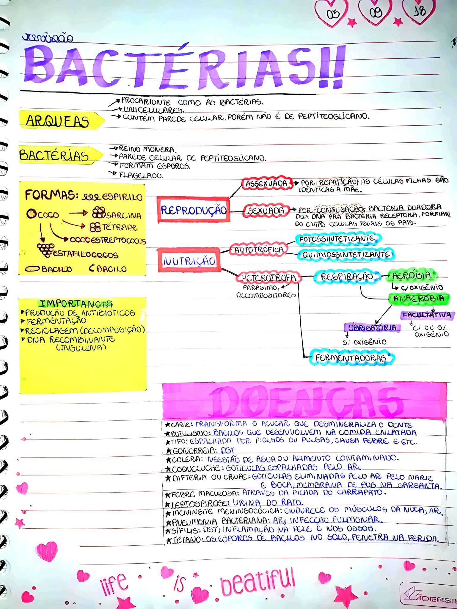 Mapa Mental Sobre BactÉrias Maps4study