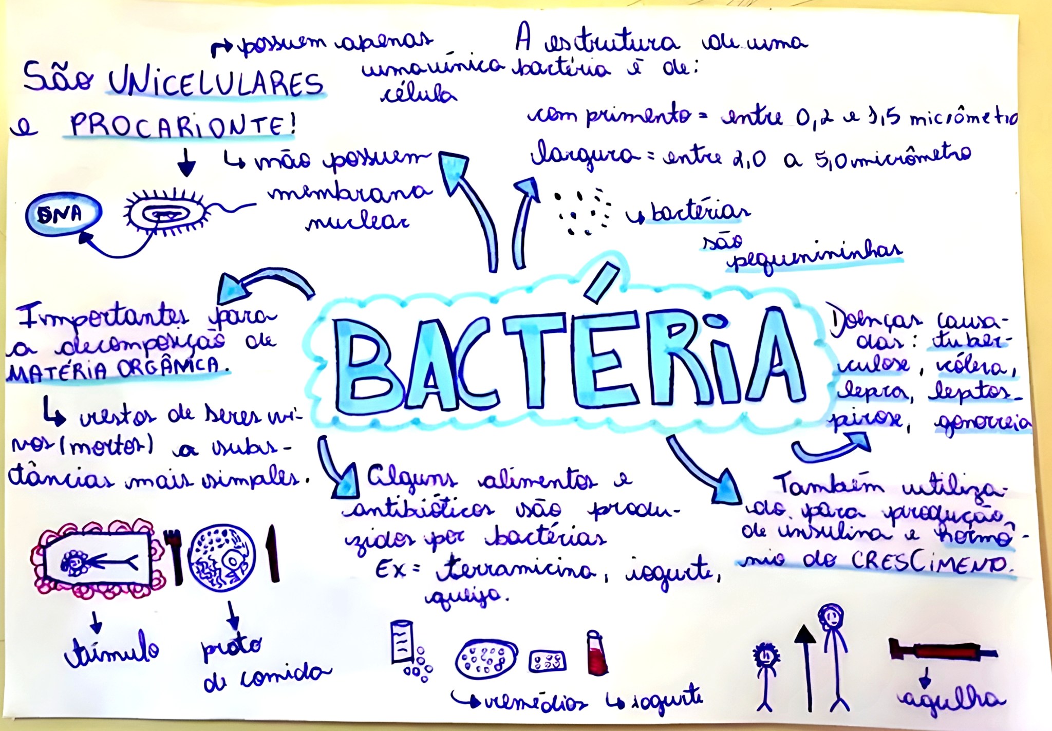 Mapa Mental Sobre BactÉrias Maps4study