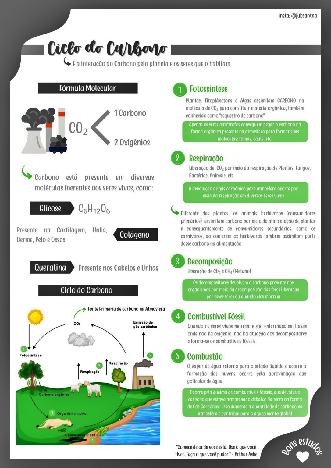 Mapa Mental Sobre Ciclo Do Carbono Maps4study