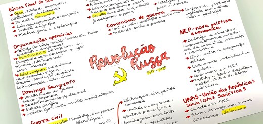 Mapa Mental Sobre DoenÇas Bacterianas Maps4study