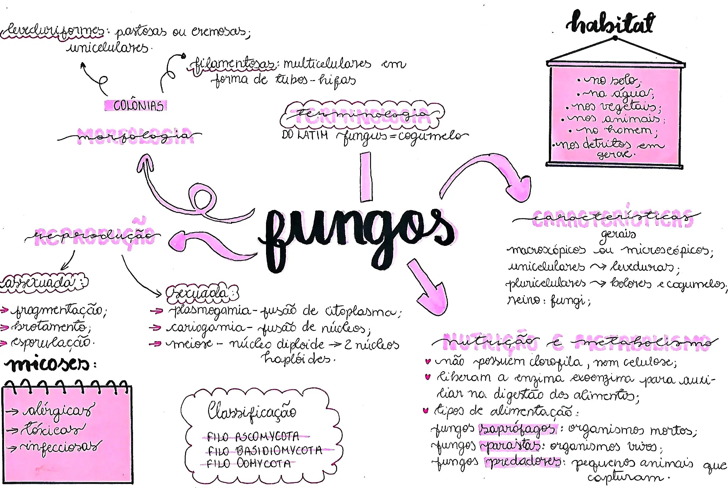 Mapa Mental Sobre Fungos Maps4study