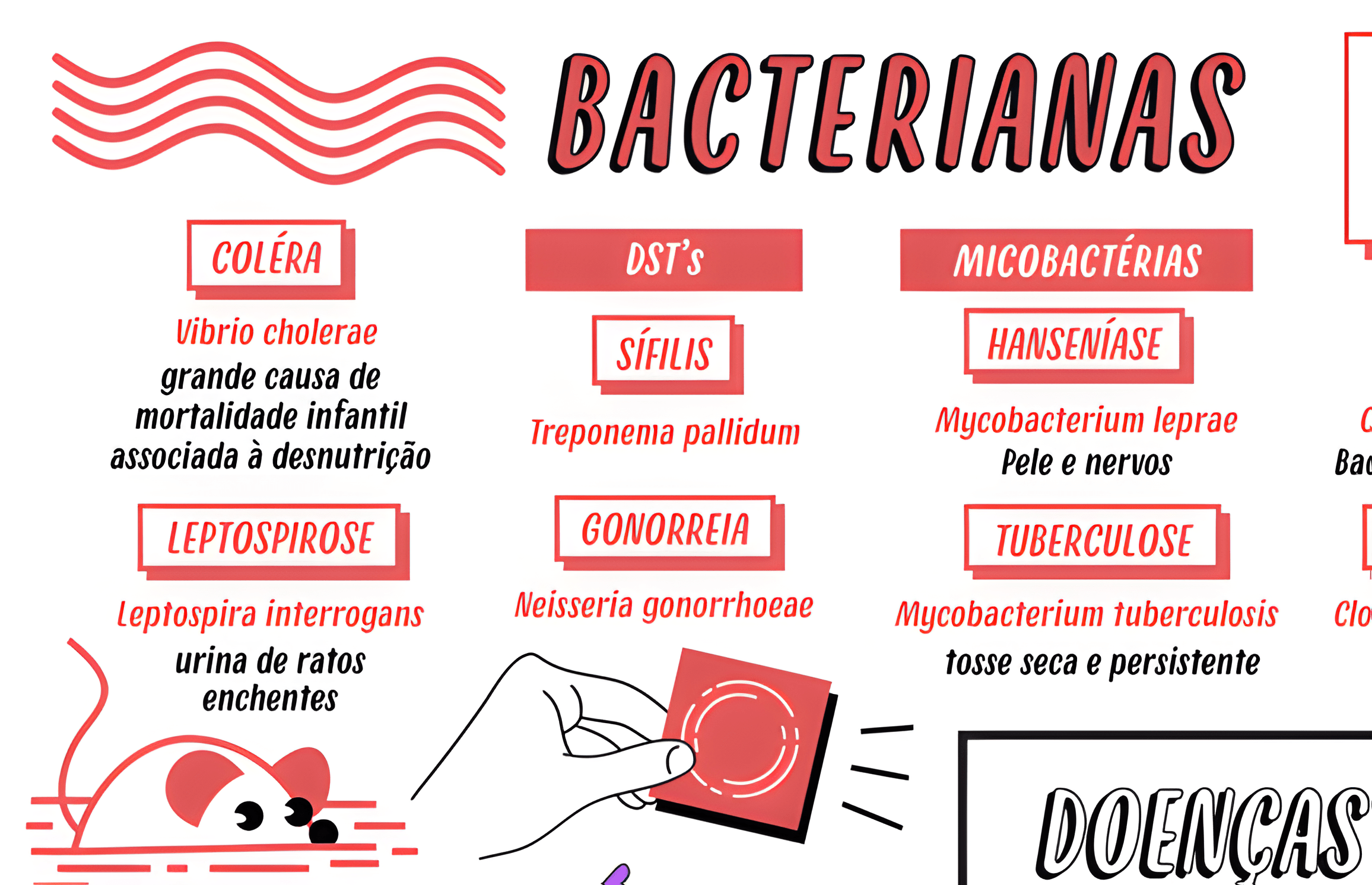 Mapa Mental Sobre DoenÇas Bacterianas Maps4study