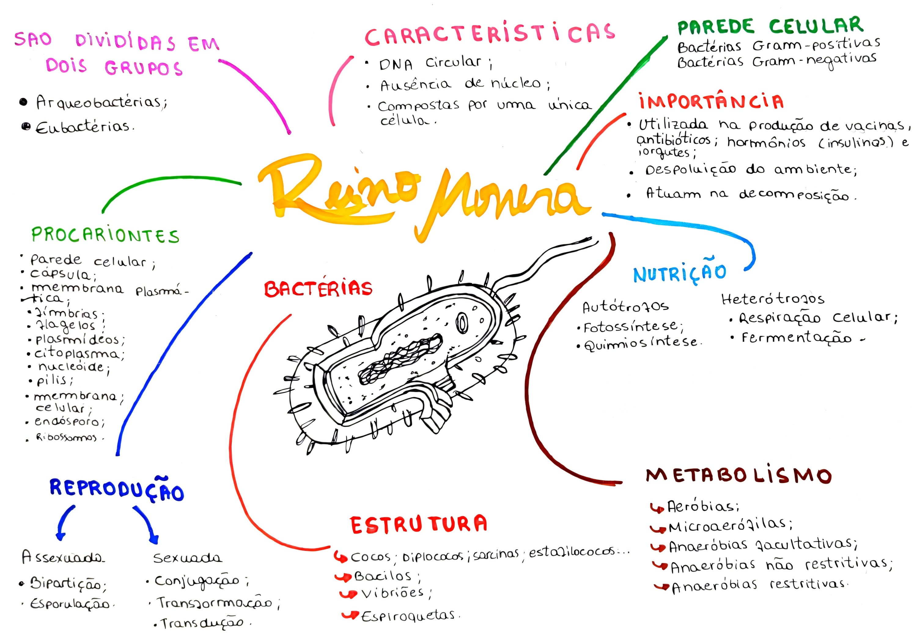 Mapa Mental Sobre Reino Monera Maps4study