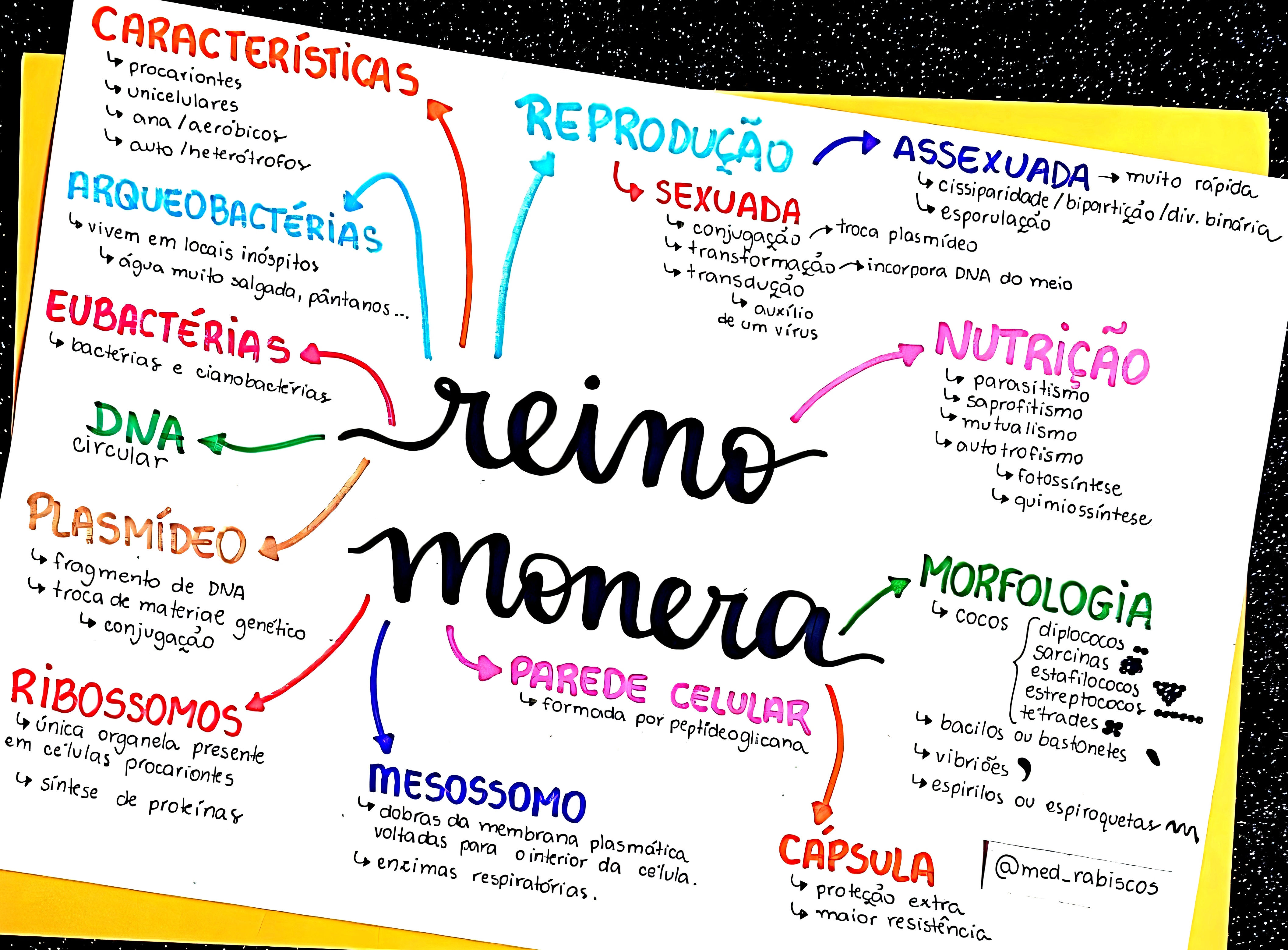 Reino Monera Em 2023 Reino Monera Mapas Mentais Mapa Mental Porn Sex