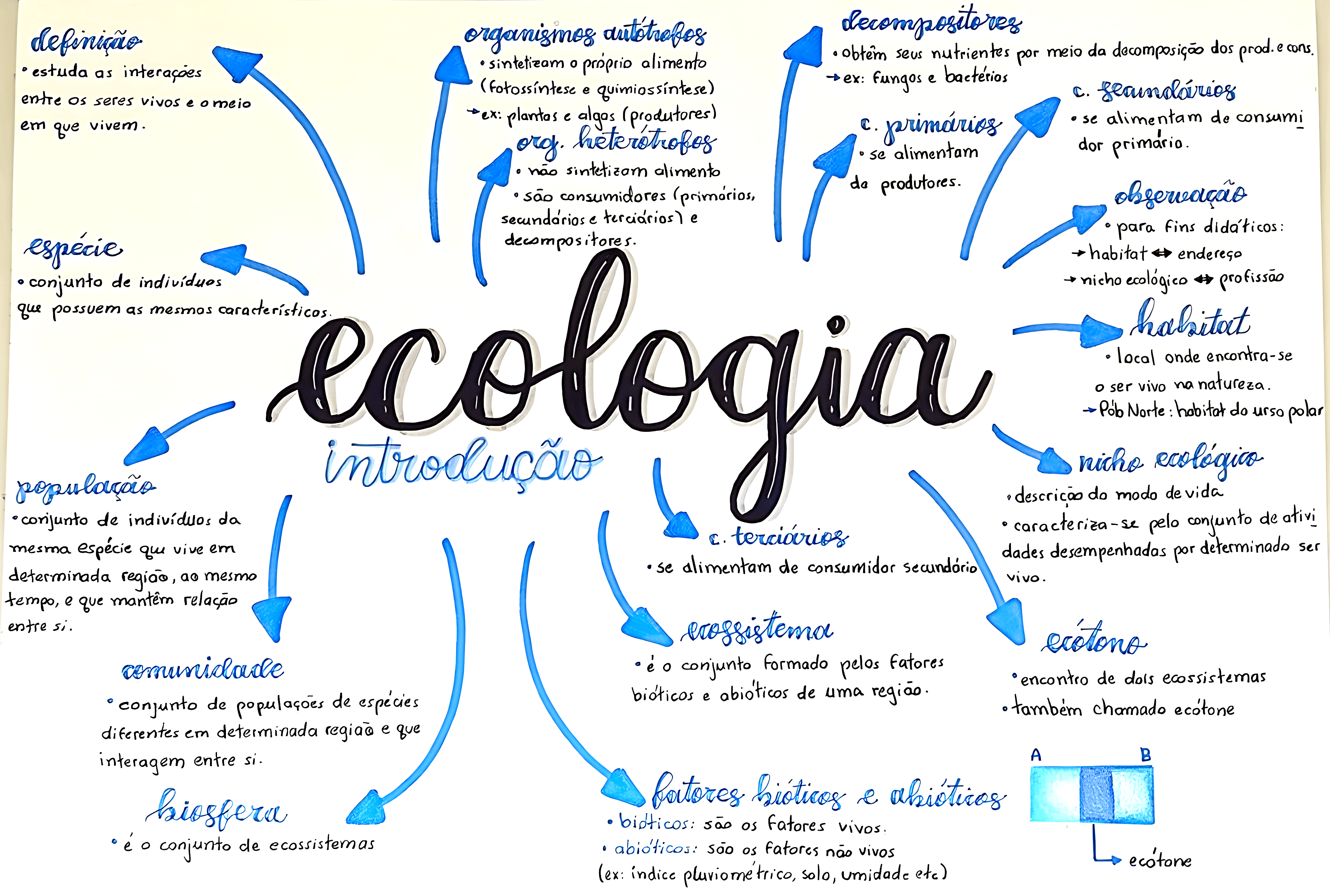 Mapa Mental Sobre Ecologia Maps4study