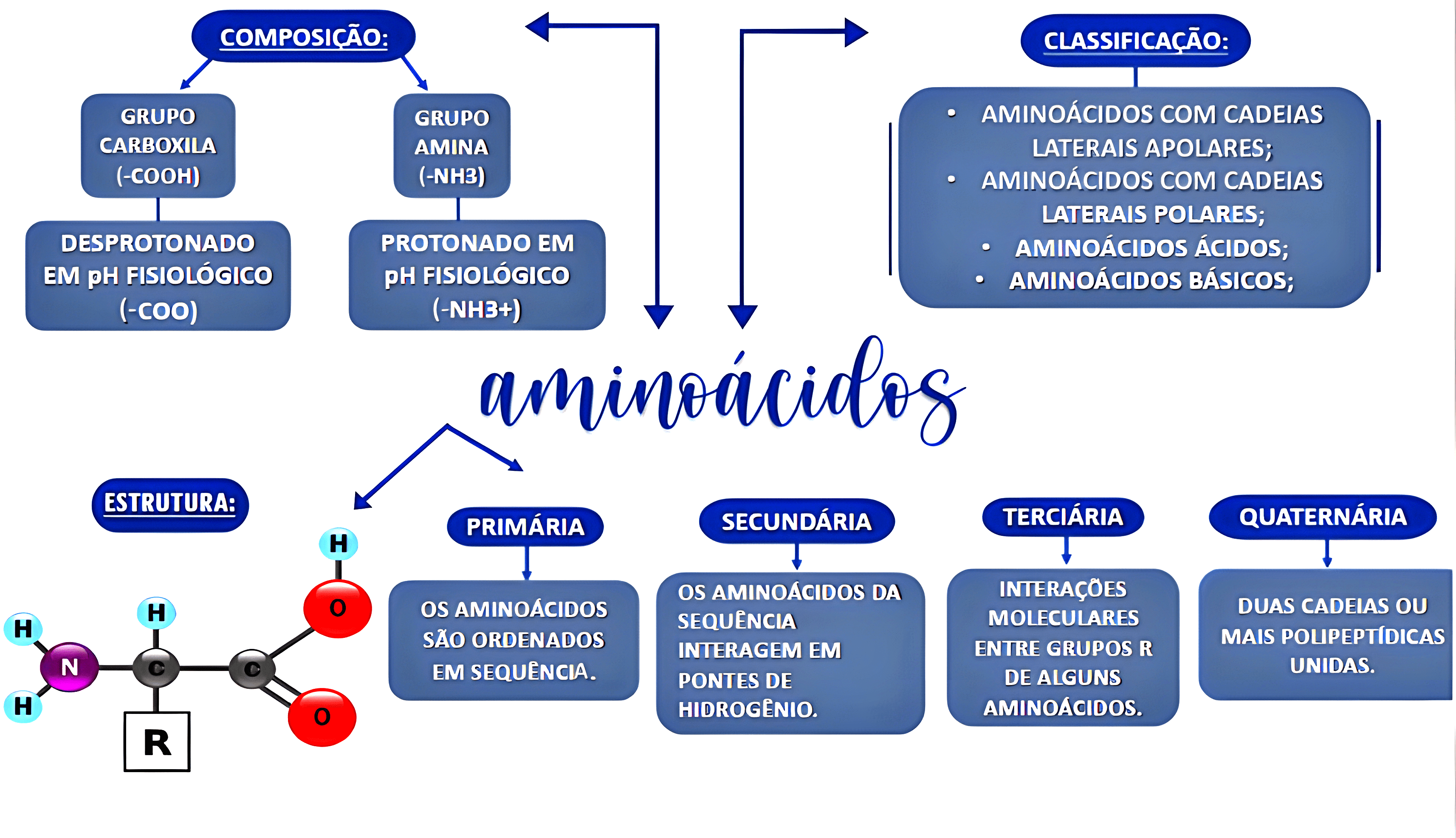 Mapa Mental SobreaminoÁcidos Maps4study