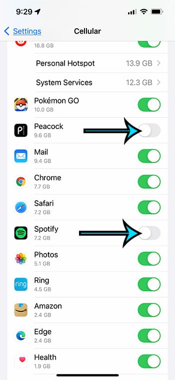 How To Disable Cellular Data Usage For An App On An Iphone 13 Master