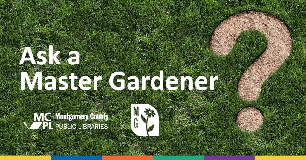 Visit Master Gardener Plant Clinics At Mcpl This Spring And Summer