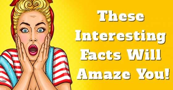 Interesting And Weird Fun Facts That Will Amaze You Meziesblog