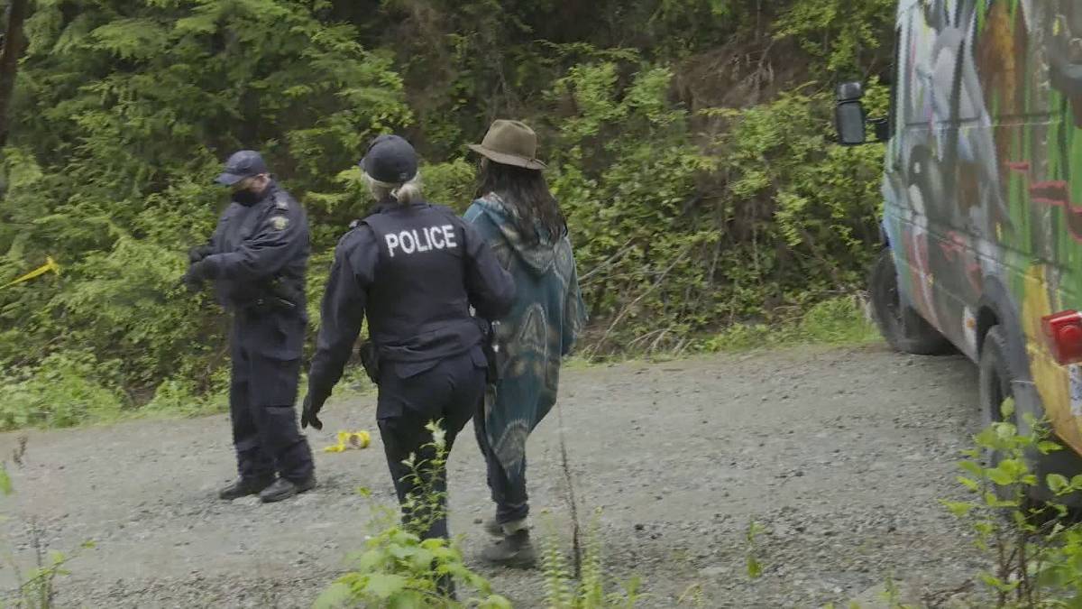 Another Seven Arrests At Bc Old Growth Logging Blockade Globalnewsca