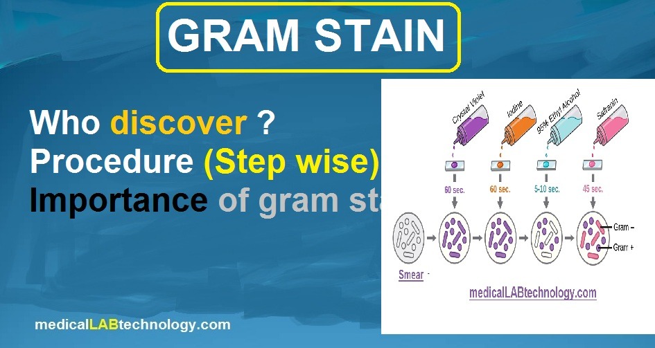 Gram Staining Procedure Principle Technique Microbiology