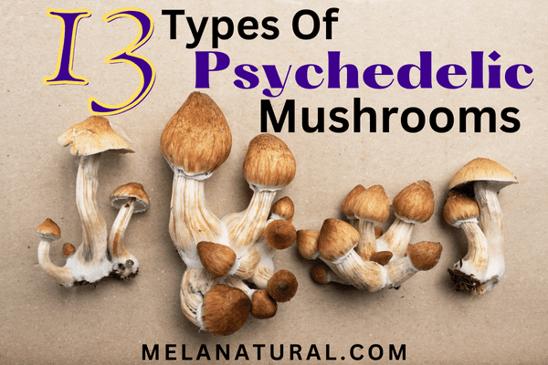 13 Types Of Psychedelic Mushroom Strains For Depression Melanatural