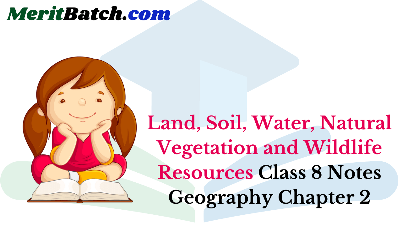 Land Soil Water Natural Vegetation And Wildlife Resources Class 8