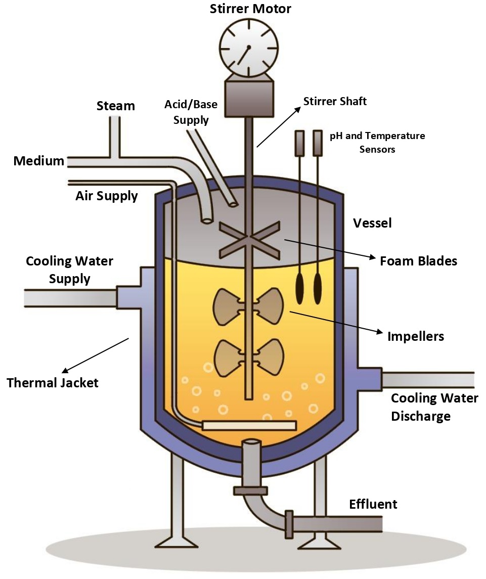 Bioreactor Parameter Parts Types And Application • Microbe Online