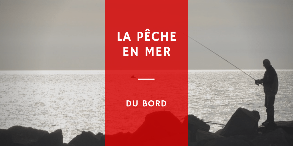 Comment Pêcher En Bord De Mer