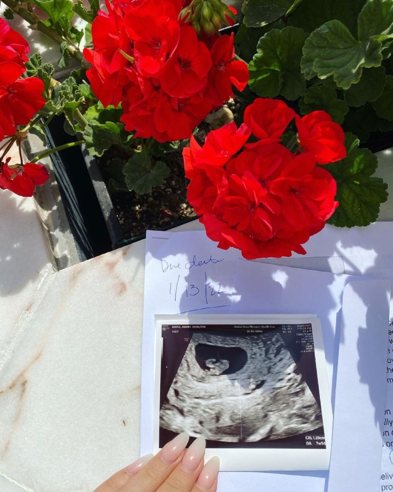 Lana Rhoades Lanarhoades Announces Pregnancy