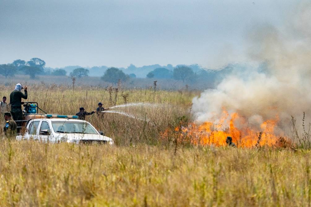 El Incendio En Un Portal De Los Esteros Del Iberá Lleva Más De 50 Días