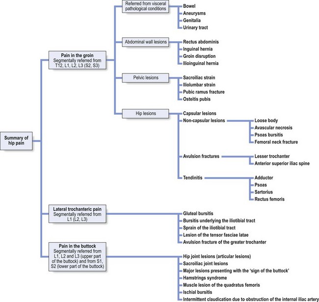 Summary Of Hip Pain Musculoskeletal Key