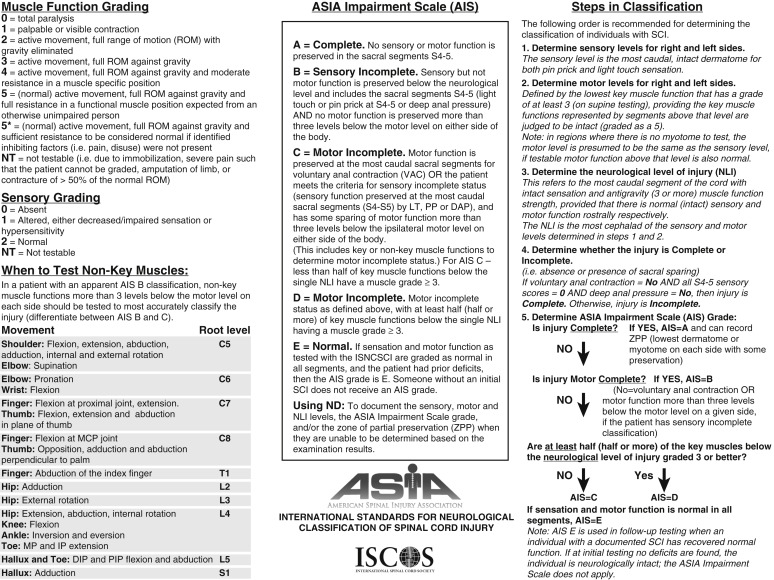 Spinal Cord Injury Cervical Musculoskeletal Key