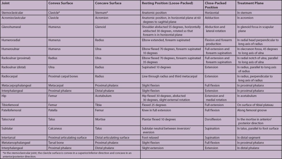 Joint Mobilization And Traction Techniques In Rehabilitation