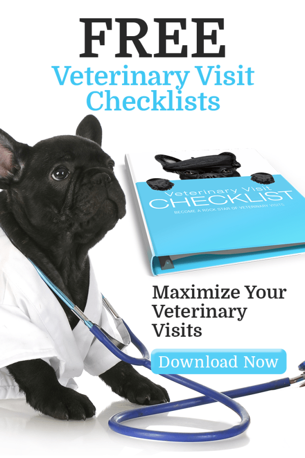 Questions To Ask Your Veterinarian Maximize Your Veterinary Visits