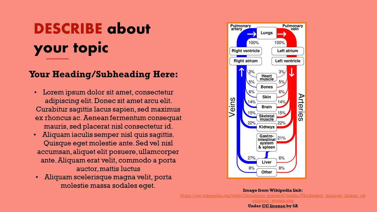 Free Circulatory System Powerpoint Template Myfreeslides