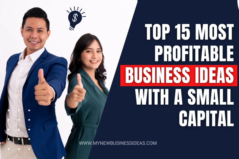 Top 15 Most Profitable Business Ideas With Small Capital