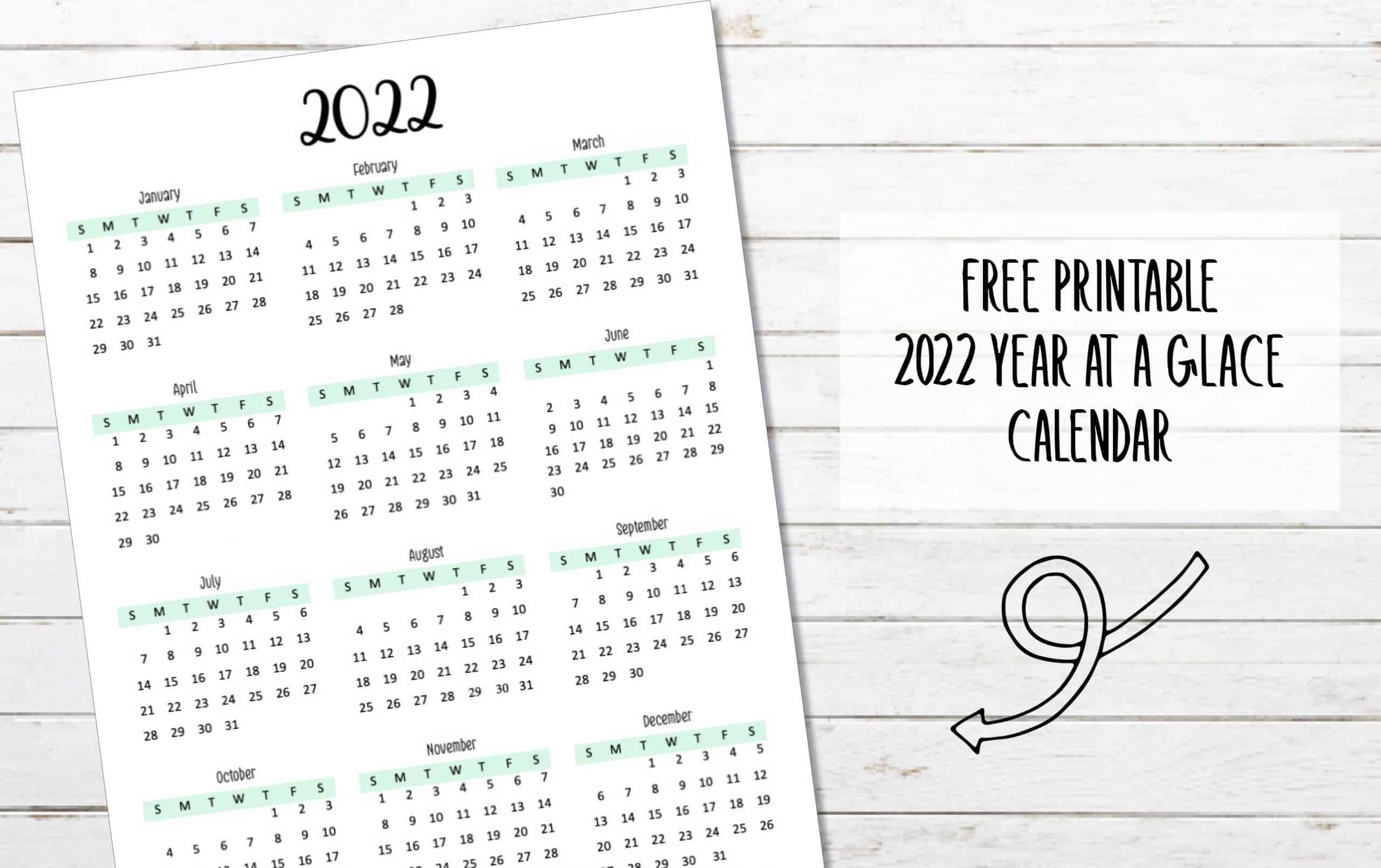 Free Printable Year At A Glance Calendar 2022 Free Letter Templates