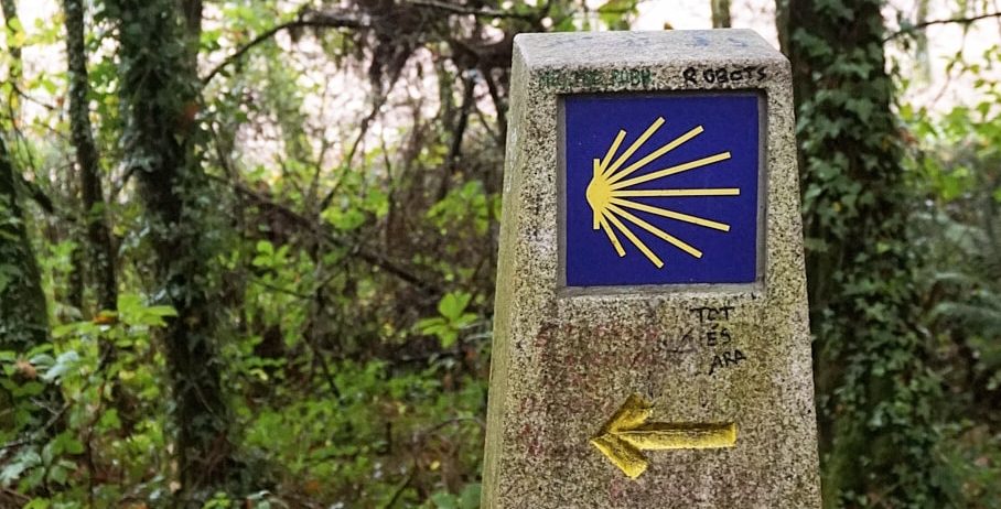 Guía Del Camino De Santiago Para Principiantes Nos Volveremos A Ver