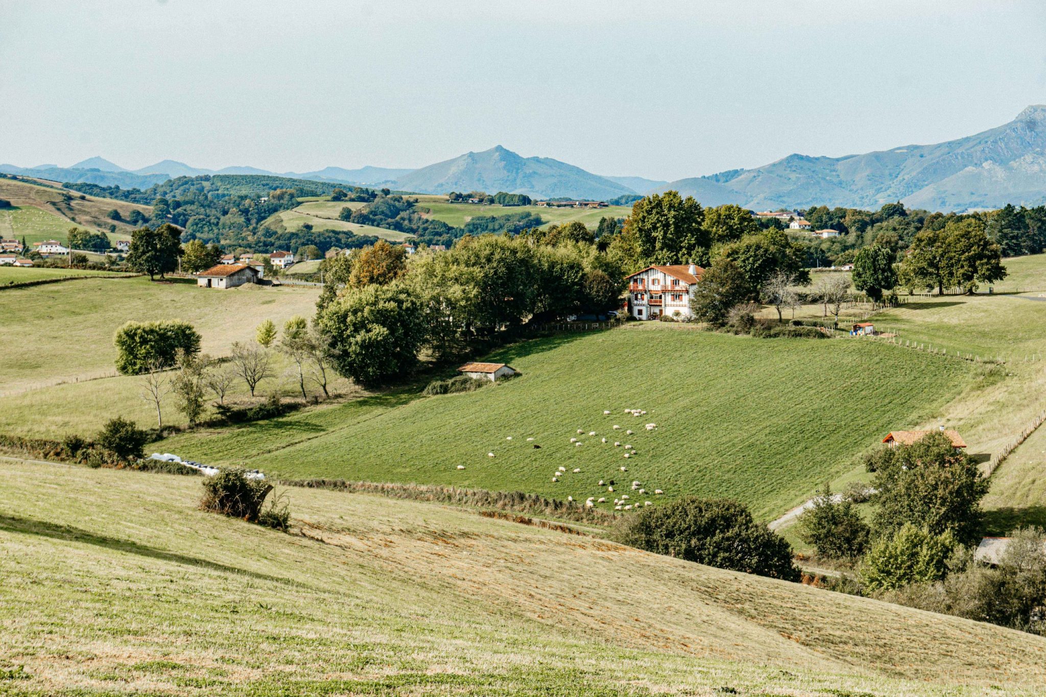 ¿cuánto Cuesta Hacer El Camino De Santiago Nos Volveremos A Ver