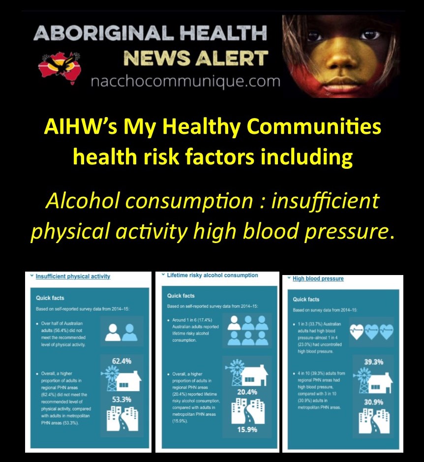 Naccho Aboriginal Health Aihw My Healthy Communities Health Risk