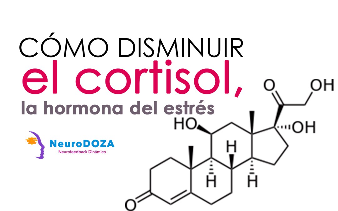 Cortisol La Hormona Del Estrés Que Debes Controlar Neurodoza