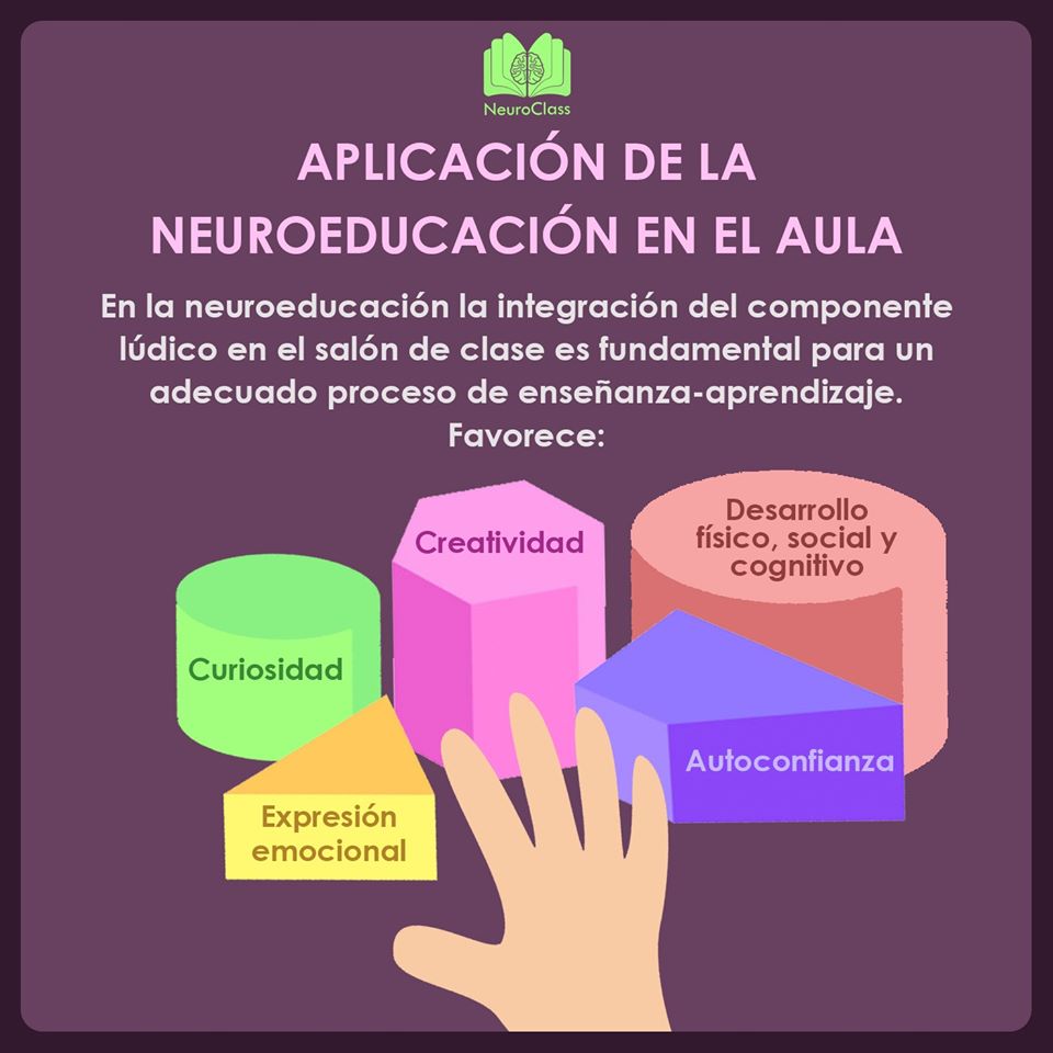 Aplicación De La Neuroeducación En El Aula Neuroclass