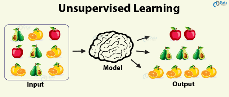 Self Supervised Learning And Its Applications